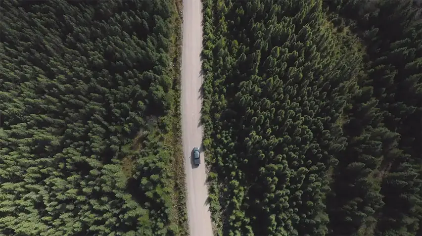 Magna International - Forward. For all.