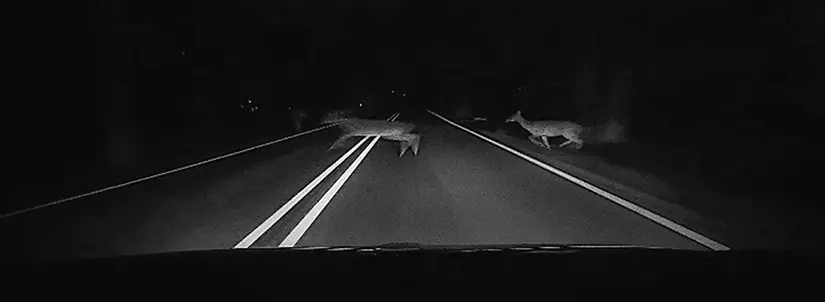 Lighting - illuminating the path for tomorrow | Magna